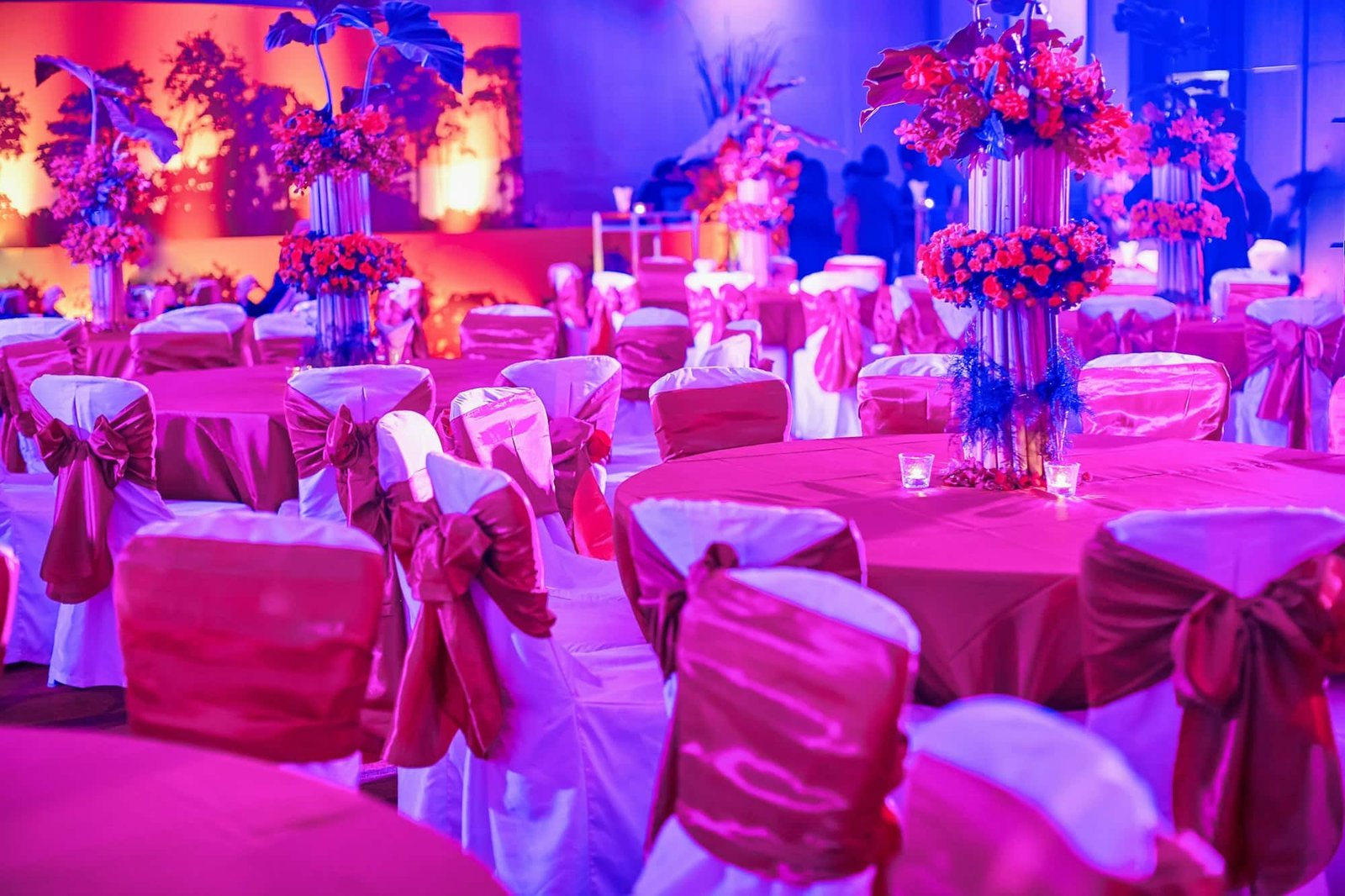 7 Creative Party Setup Decoration Ideas to Transform Your Event